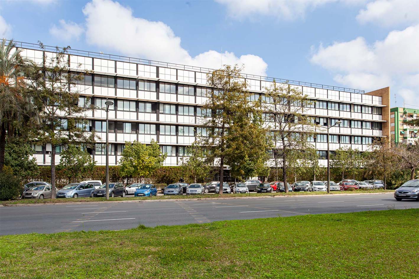 Espacio descargables - Pureza de Maria Cid