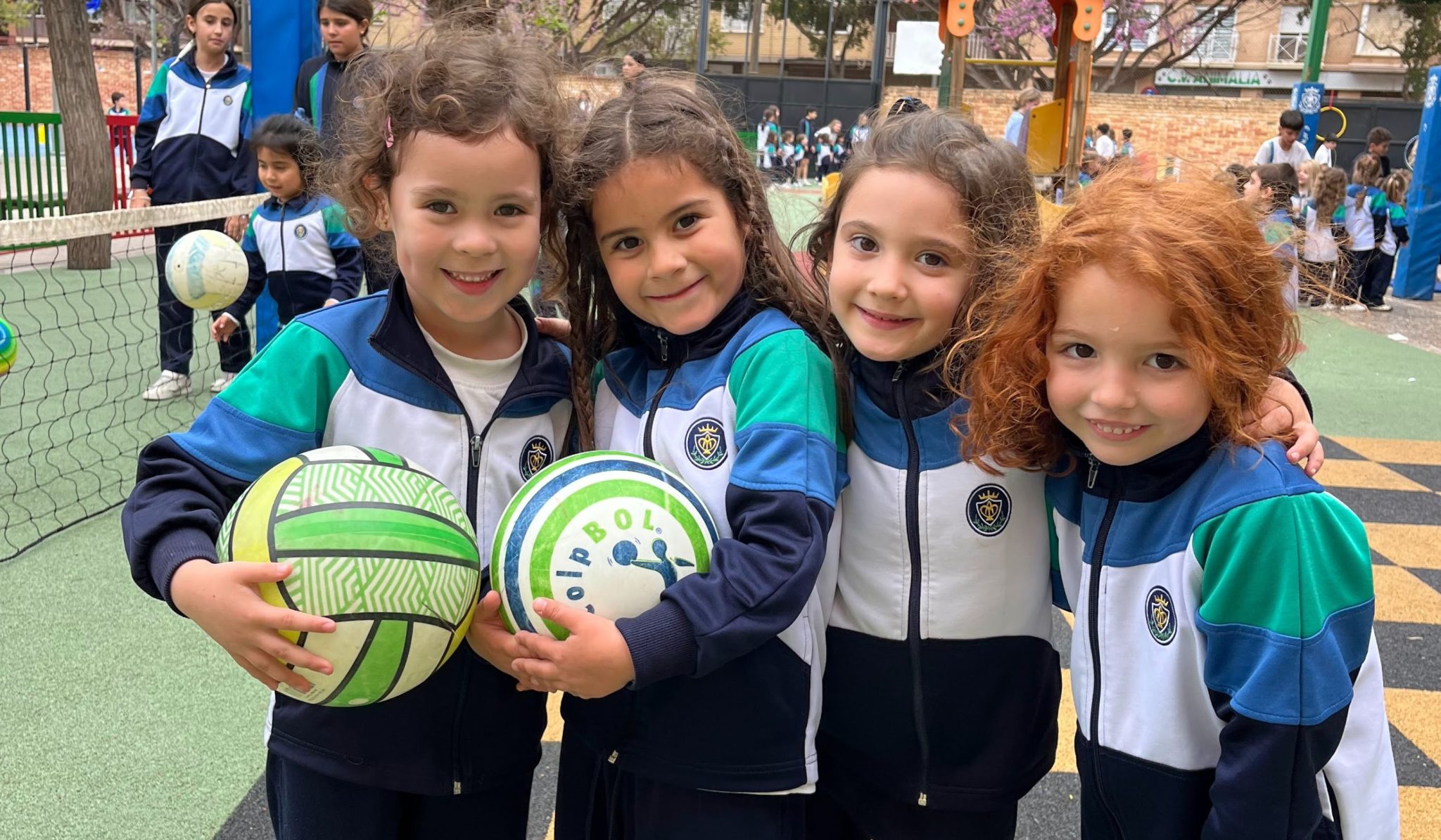 Inicio - Pureza de Maria Cid